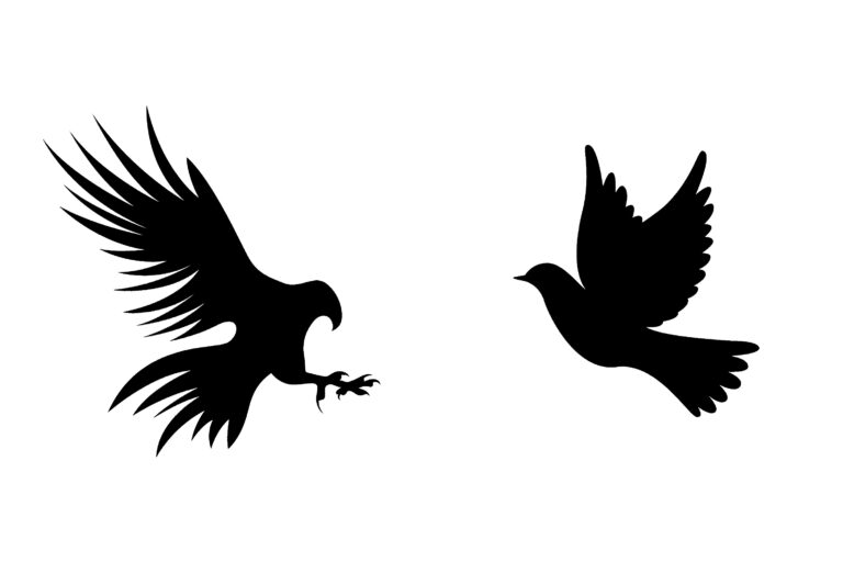 Hawkish x Dovish – Diagrama Investimentos