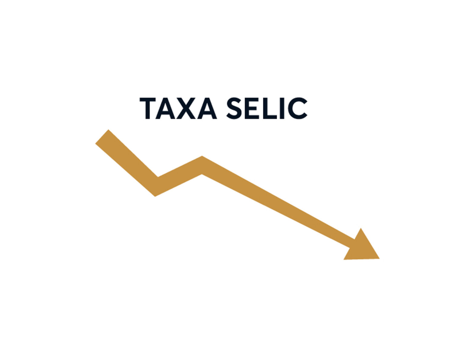 Por dentro da Taxa Selic: o que é, para que serve e como ela influencia ...